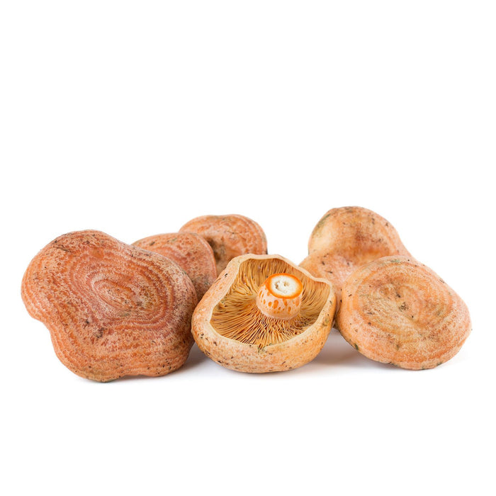 Acheter Lactaire délicieux (Champignons Frais)